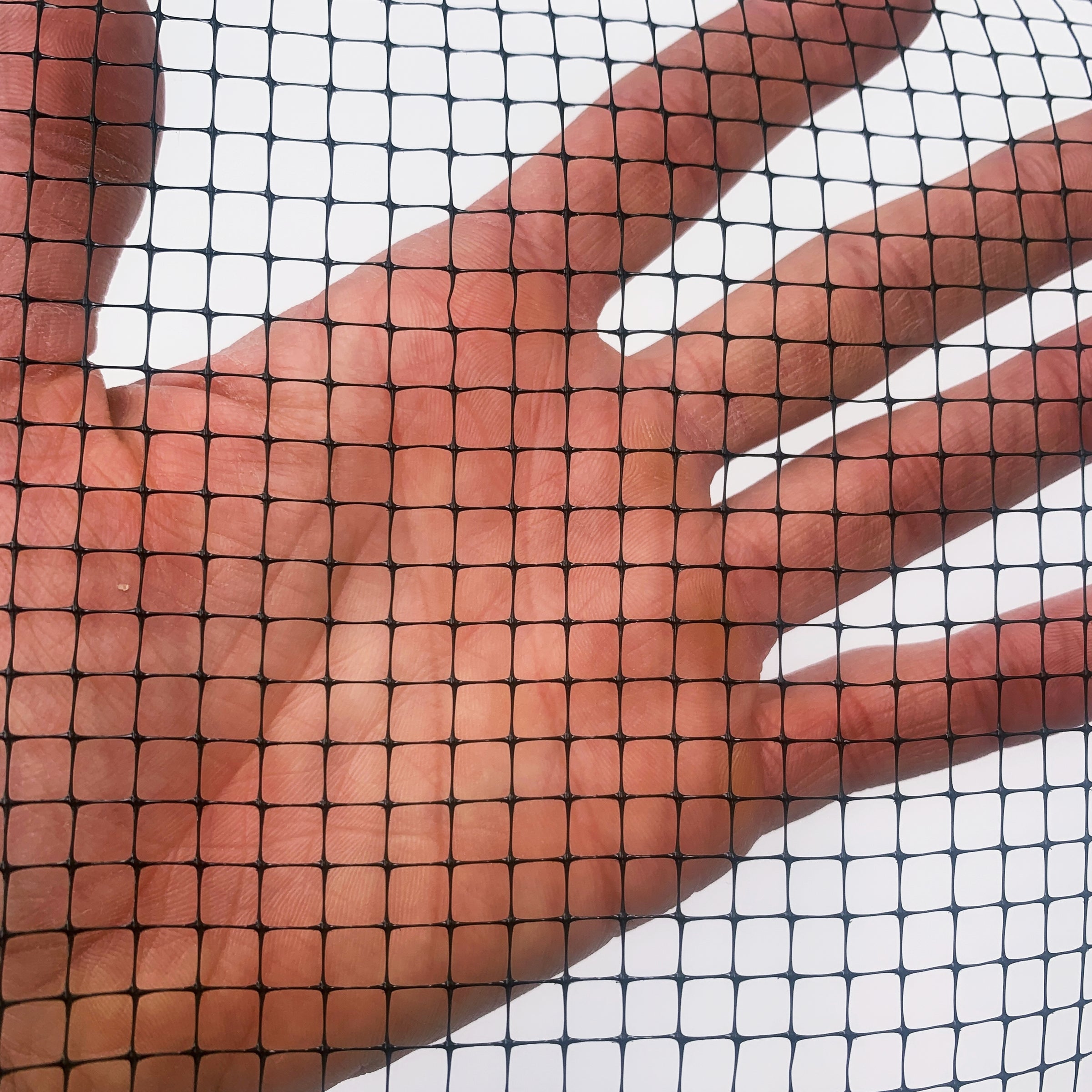 Bird and Cicada Protection Netting - 1/4" squares | Freedom Forest Nursery