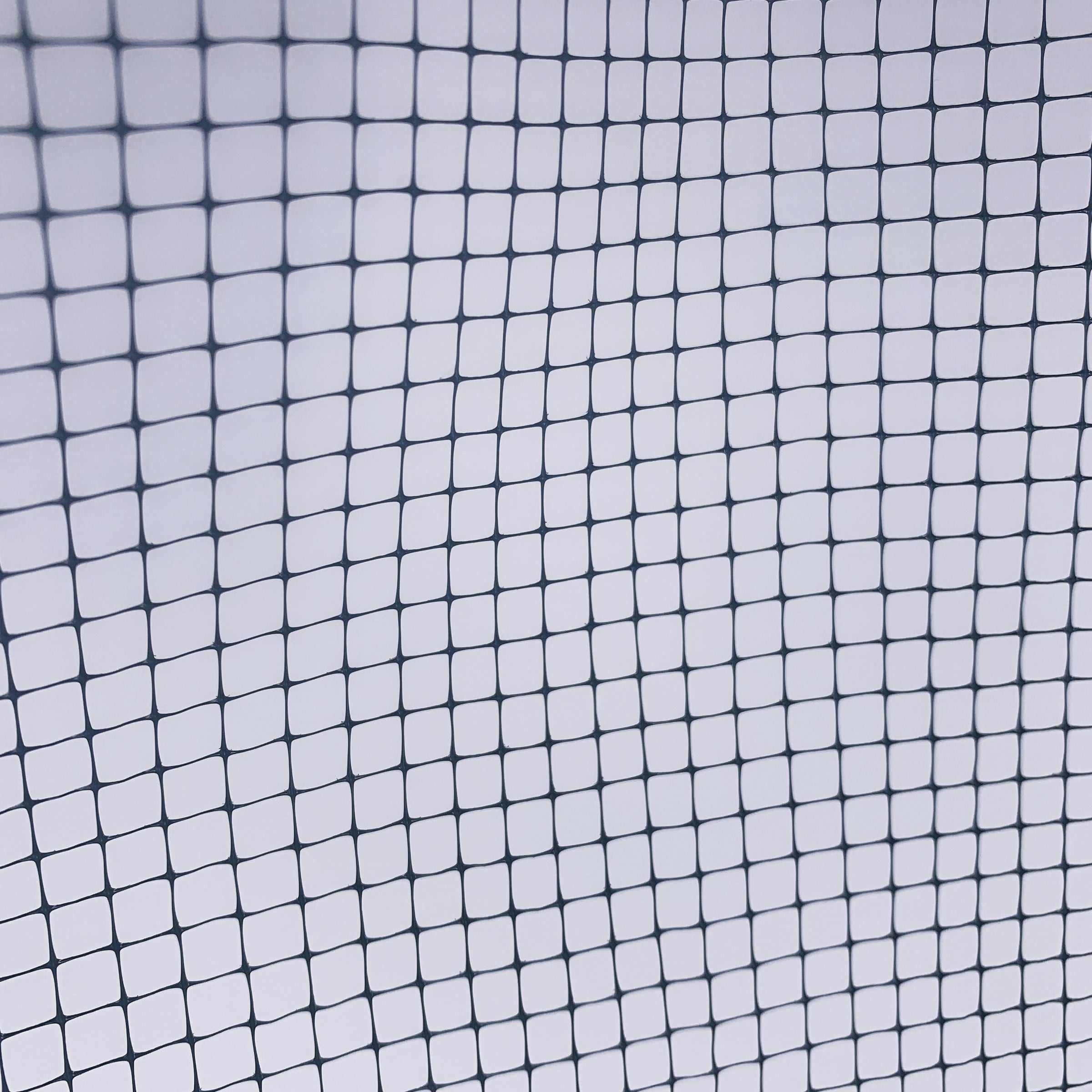 Bird and Cicada Protection Netting - 1/4" squares | Freedom Forest Nursery