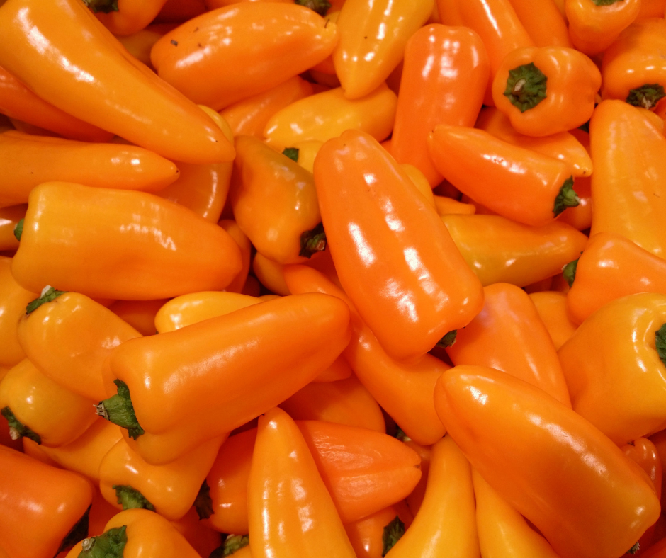 Glow Bell Pepper Hybrid (F1) seeds | Freedom Forest Nursery
