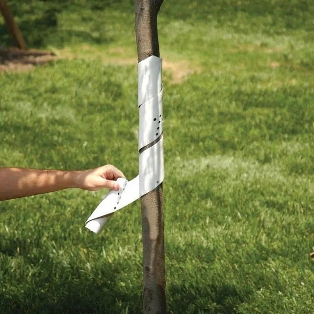 Vinyl Spiral Tree Guard | Freedom Forest Nursery